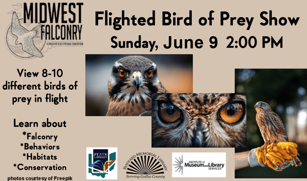 Flighted Bird of Prey Show | Bossard Memorial Library